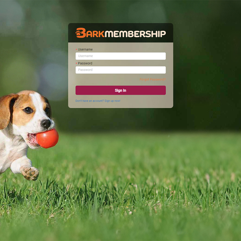 Home - Bark Membership